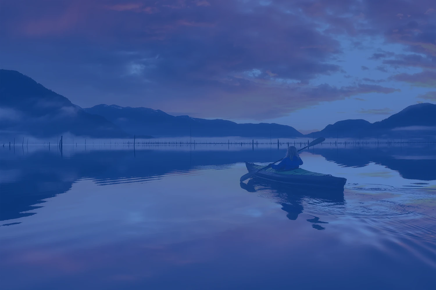 7 Questions to Help Optimize Your 401(k) Plan - Perigon Wealth