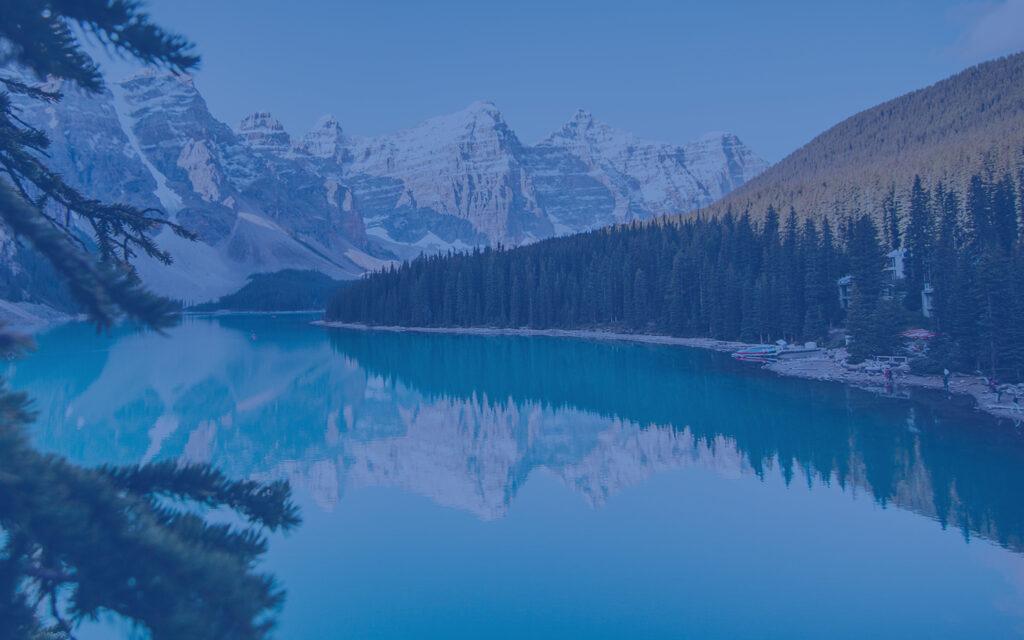 News & Insights - Perigon Wealth