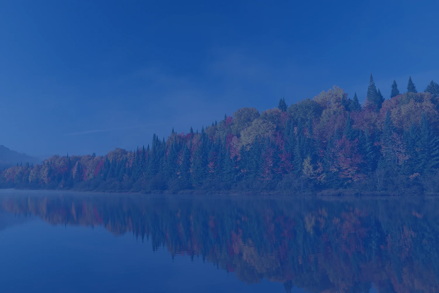 For Employers: Is Your 401(k) On Track? - Perigon Wealth