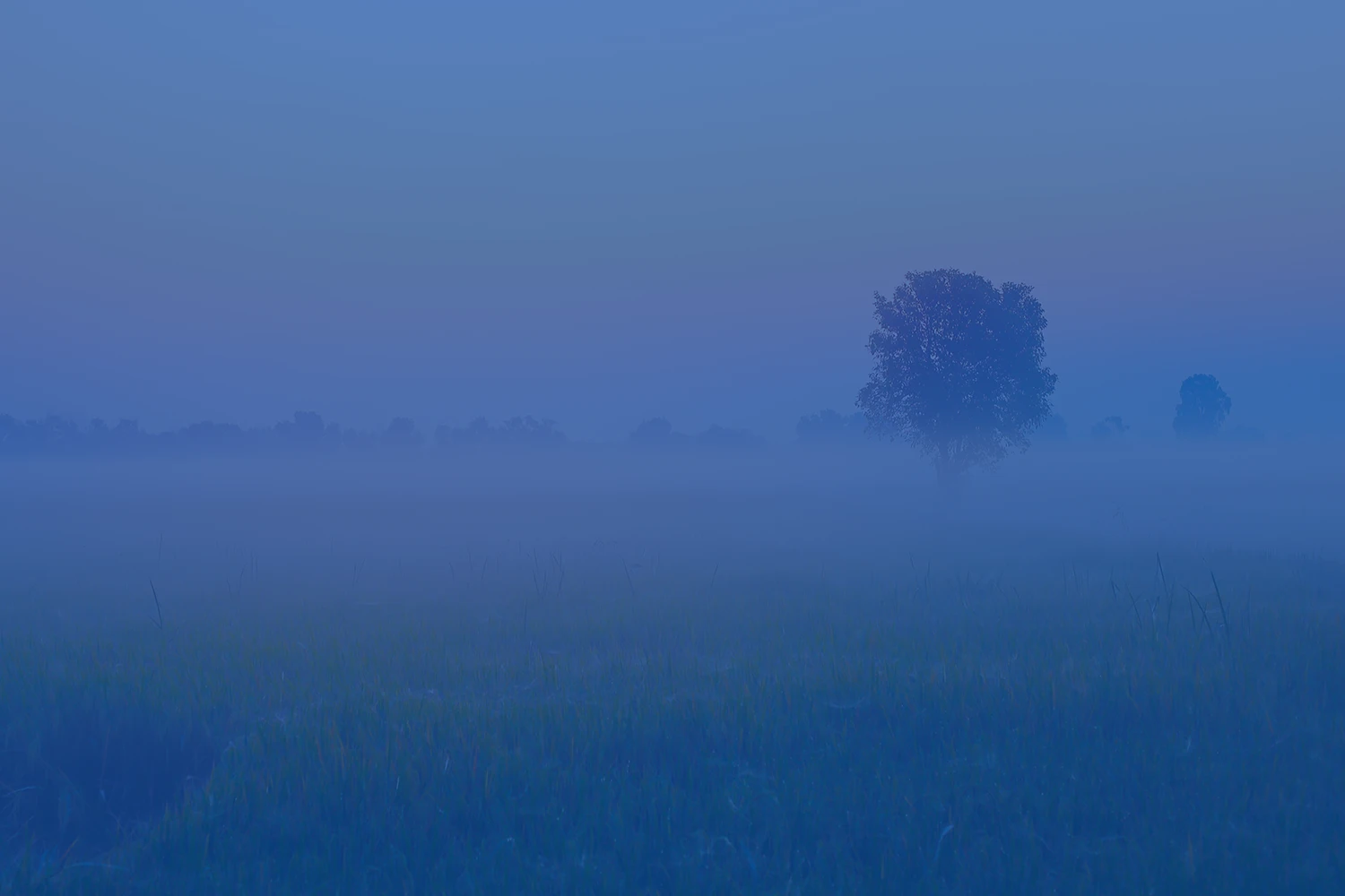 For The 3rd Year In A Row Perigon is Named to Forbes Top RIA List ...