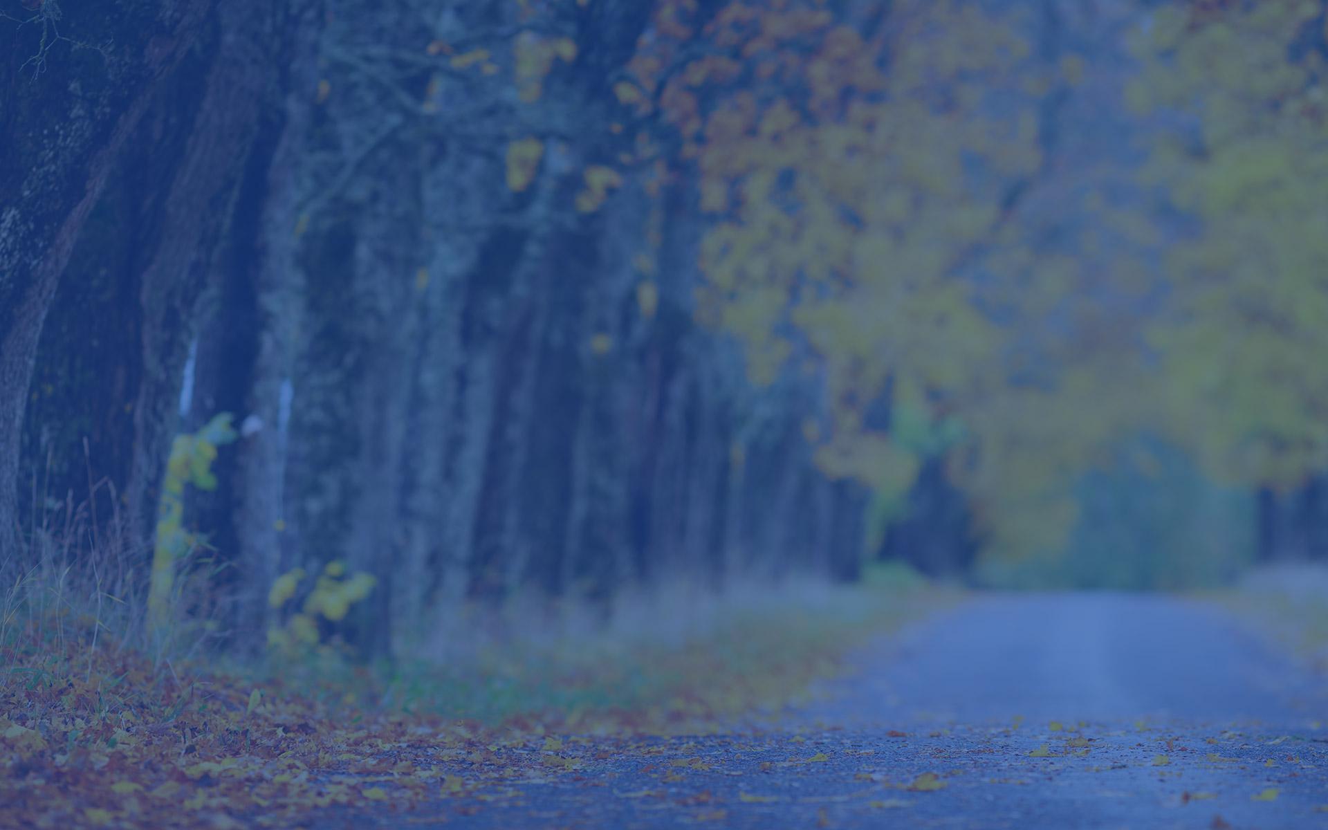 Embracing the Personal in Planning with Beth Bosworth - Perigon Wealth