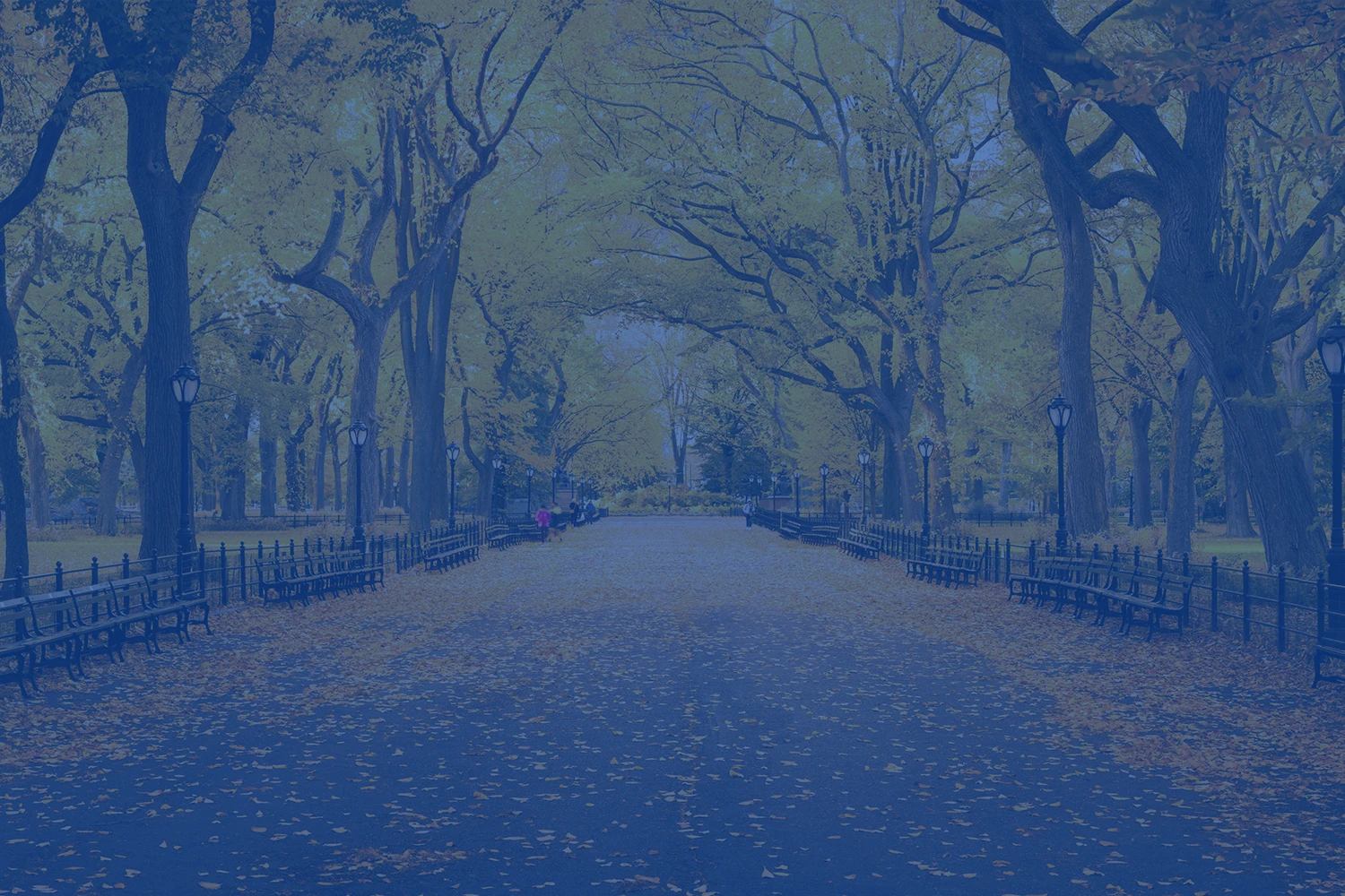 Perigon Welcomes Creative Financial Planning To The Team - Perigon Wealth